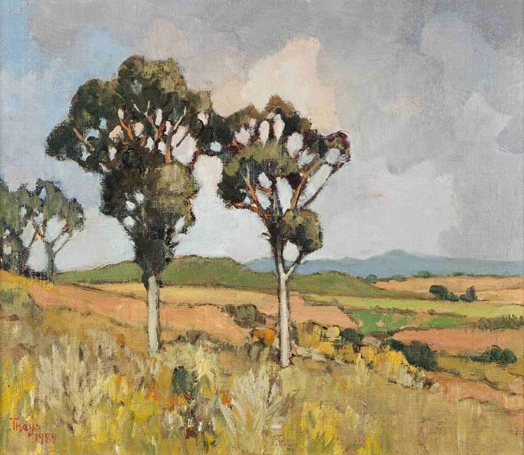 Swartland Winter by Conrad Theys | Strauss & Co