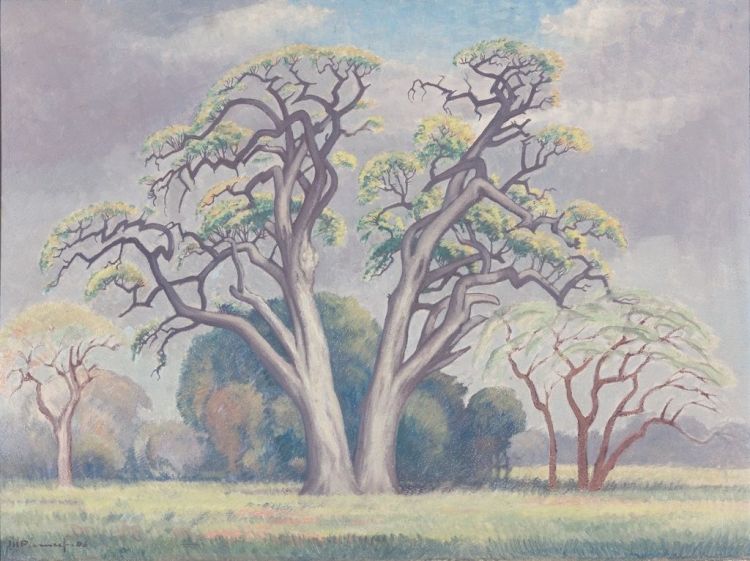 Hardekool Bome by Jacob Hendrik Pierneef | Strauss & Co