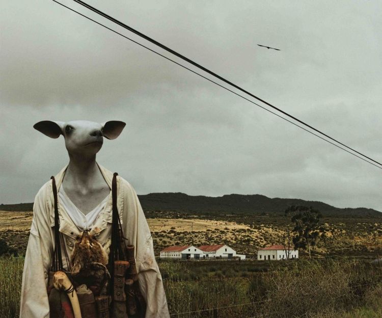 Ghost by Jane Alexander | Strauss & Co