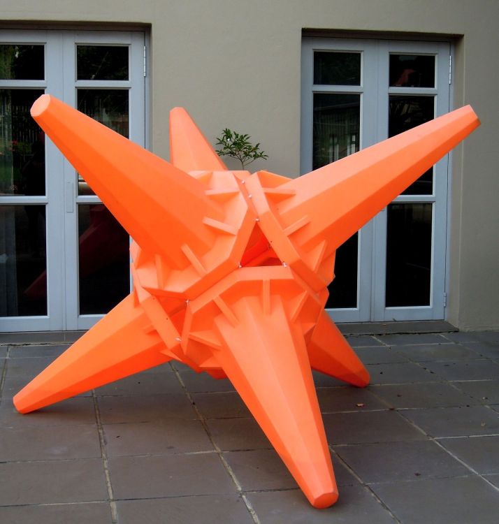 Cone Virus by Gordon Froud | Strauss & Co