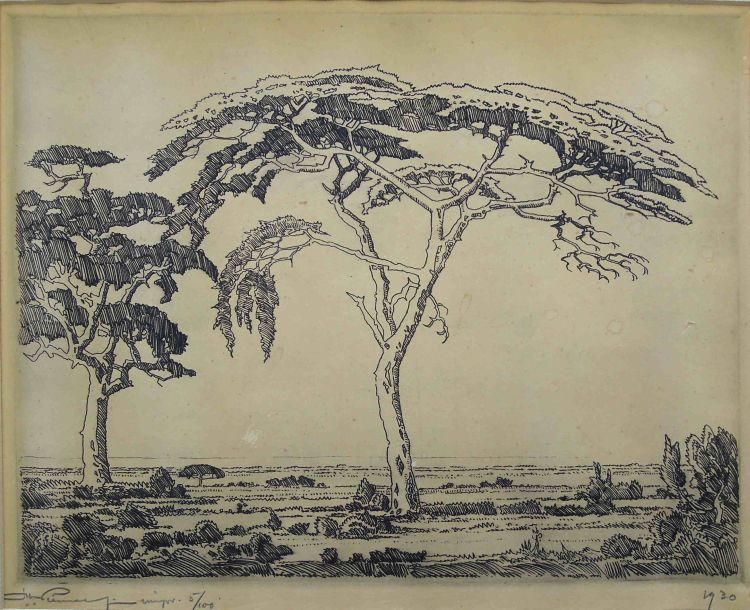 Bushveld Trees by Jacob Hendrik Pierneef | Strauss & Co