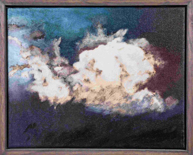 Goya’s Cloud by Robyn Penn | Strauss & Co