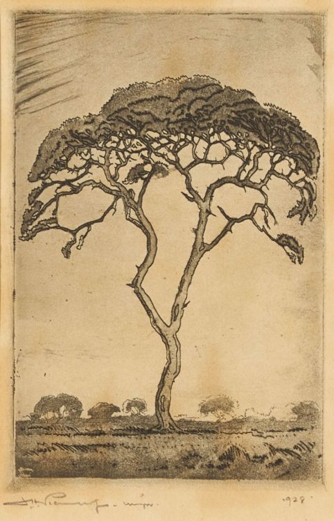 Doringboom by Jacob Hendrik Pierneef | Strauss & Co