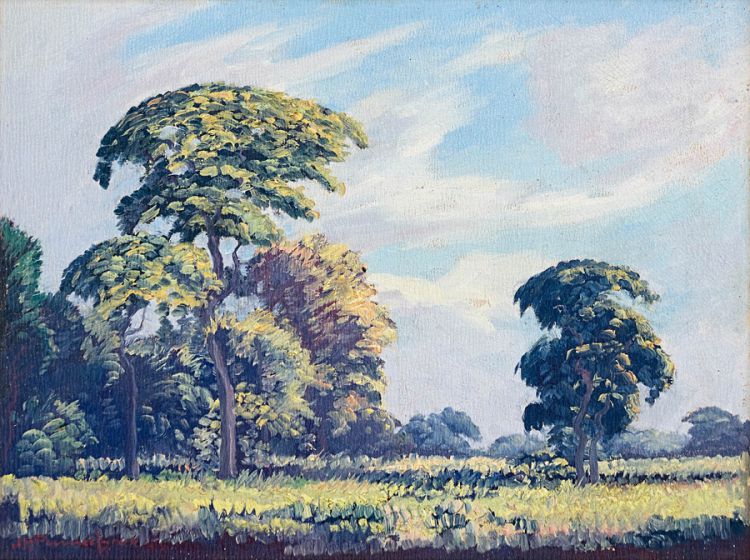 Landscape with Trees by Jacob Hendrik Pierneef | Strauss & Co