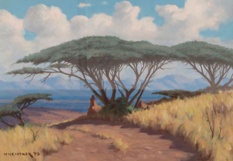 Eastern Transvaal Mountain Landscape by Willem Hermanus Coetzer ...