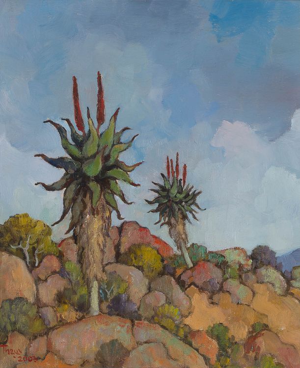 Twee Aalwyne by Two Aloes by Conrad Theys | Strauss & Co