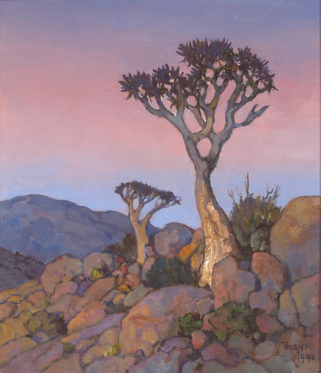 Kokerbome by Conrad Theys | Strauss & Co