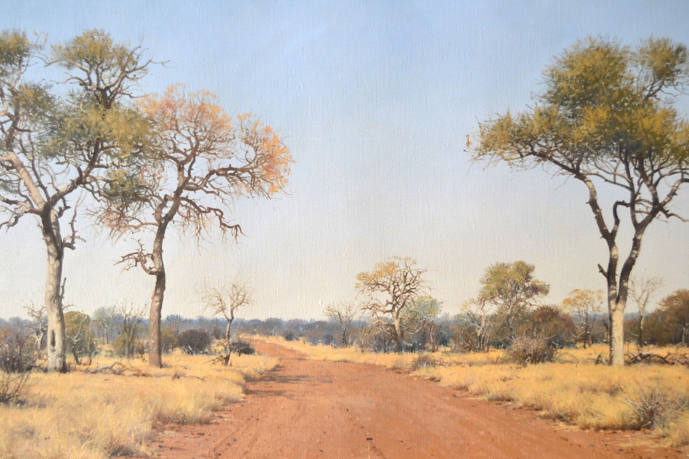 Road through the Bushveld by Francois Koch | Strauss & Co