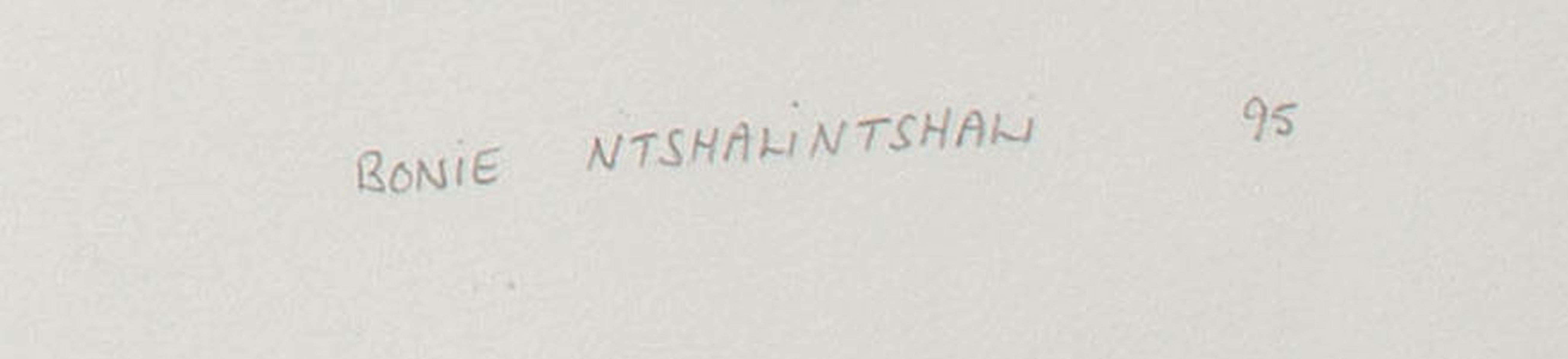 Ukazalwa Kukajesu by Bonakele (Bonnie) Ntshalintshali | Strauss & Co