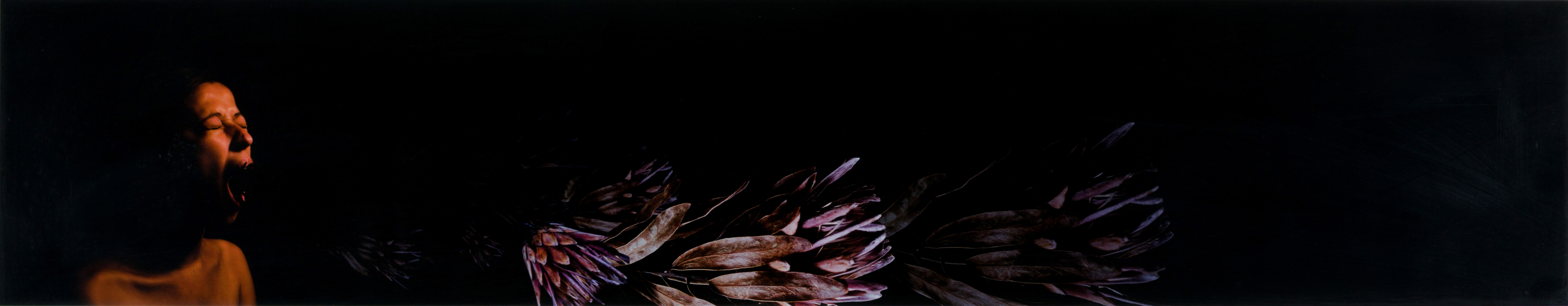 Banquet III, triptych by Gabrielle Goliath | Strauss & Co