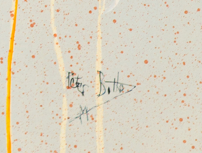 Buffalo with Oxpeckers by Peter Botha | Strauss & Co