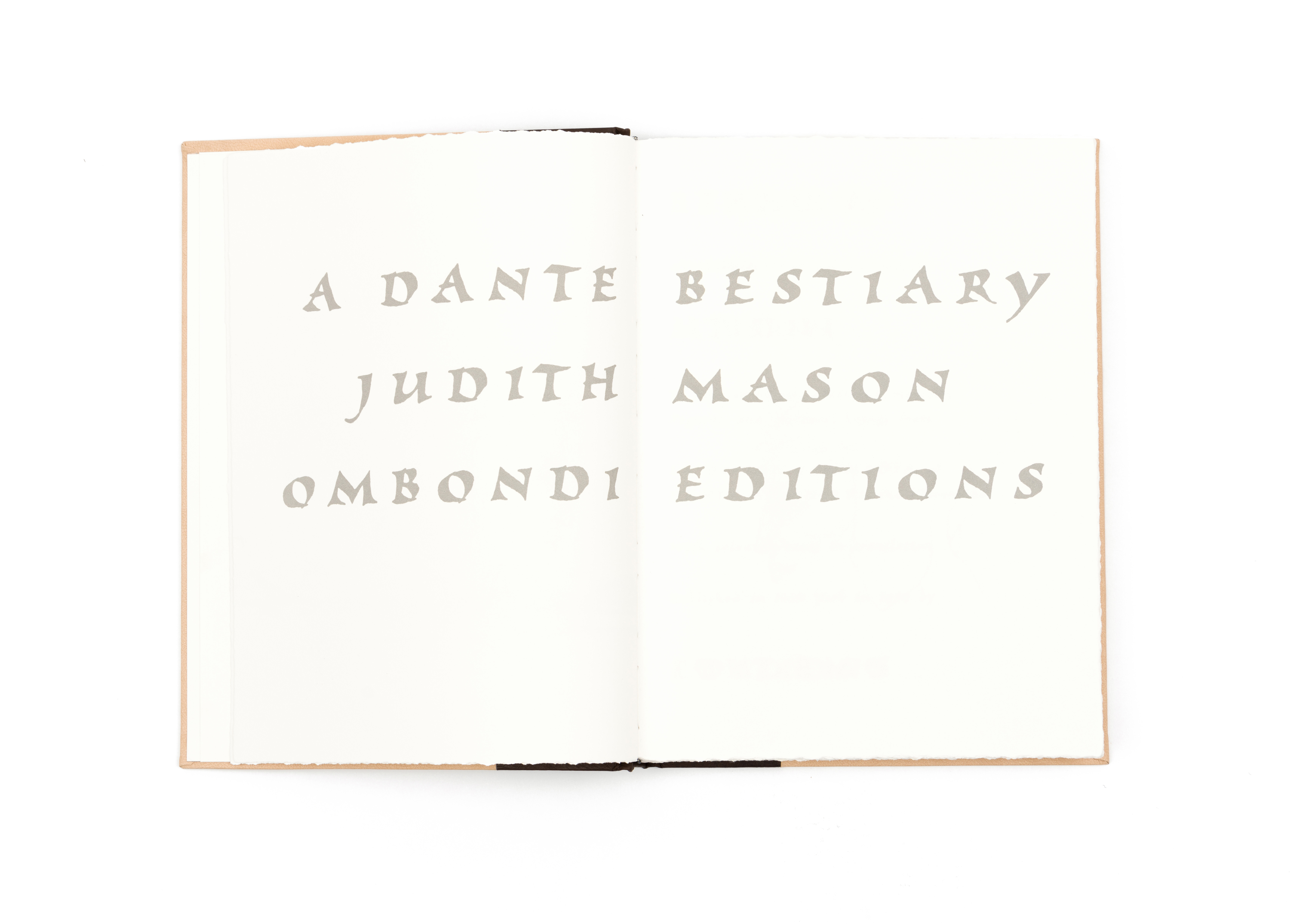 Artist Book: A Dante Bestiary 35/100 by Judith Mason | Strauss & Co