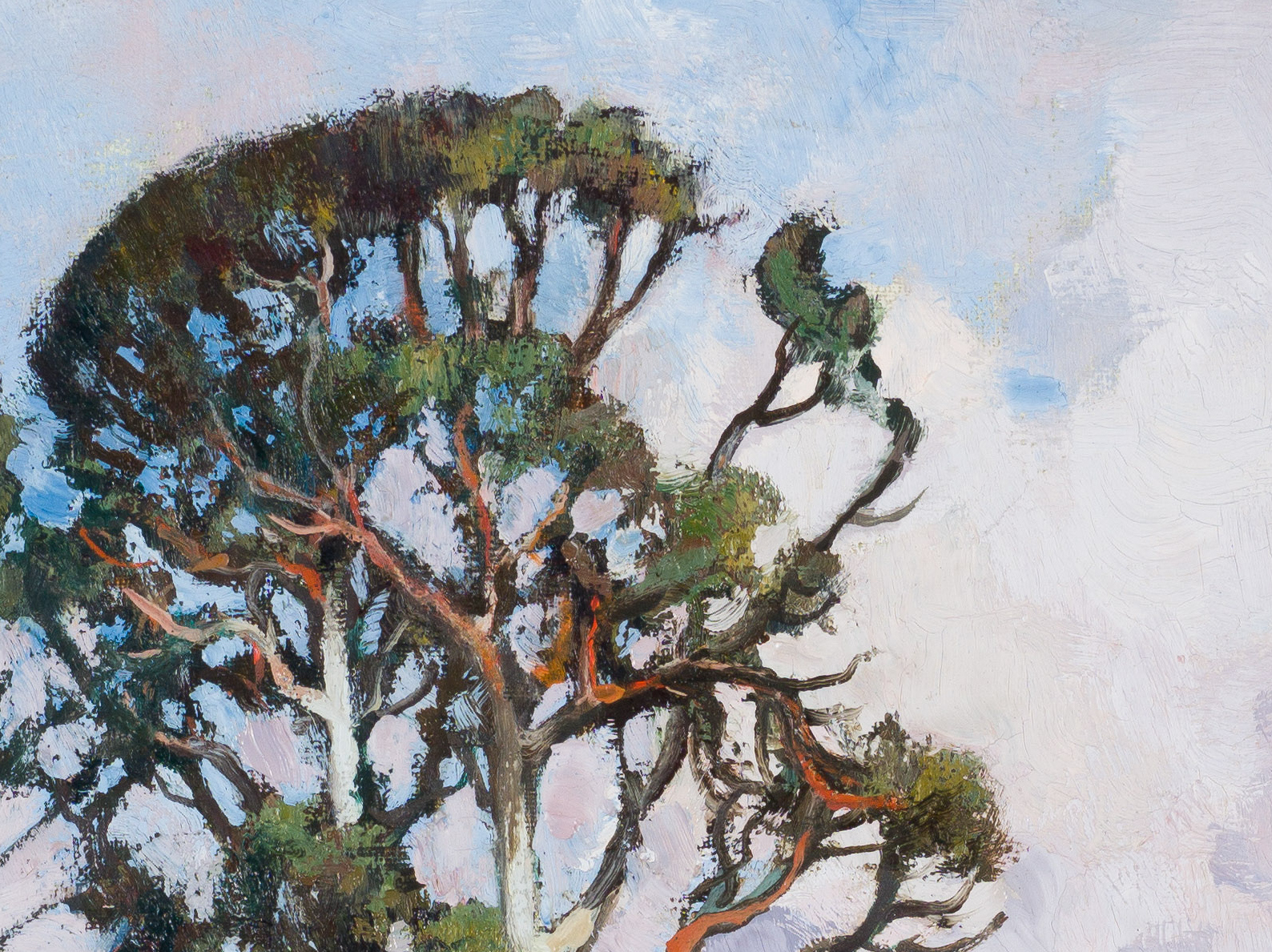 Bloekombome naby Paarl (Bluegum Trees near Paarl) by Conrad Theys ...