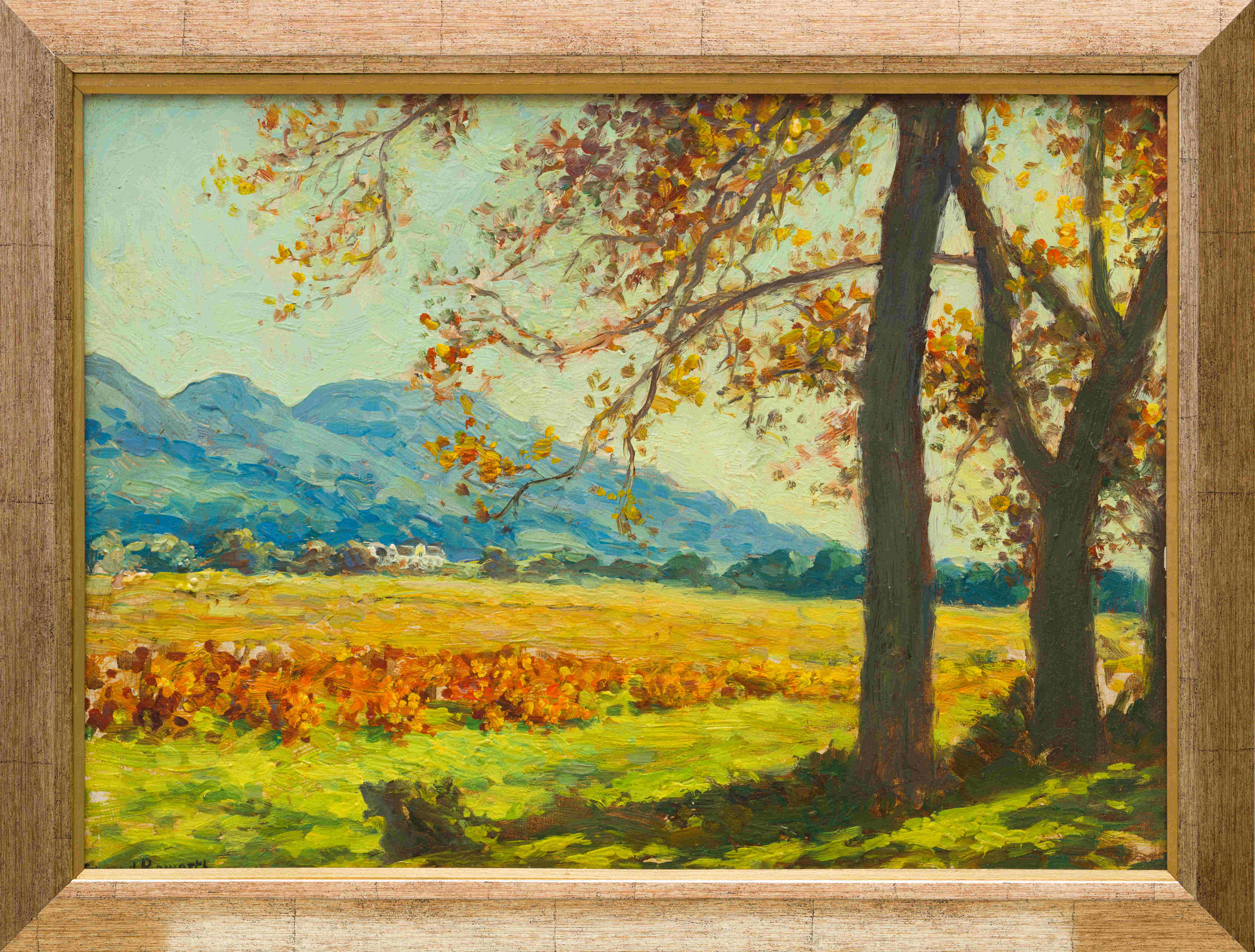 Landscape with Cape Vineyards by Edward Roworth | Strauss & Co