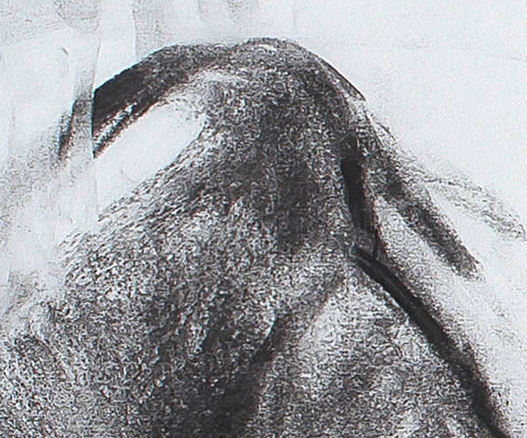 Torso IV by Dylan Lewis | Strauss & Co