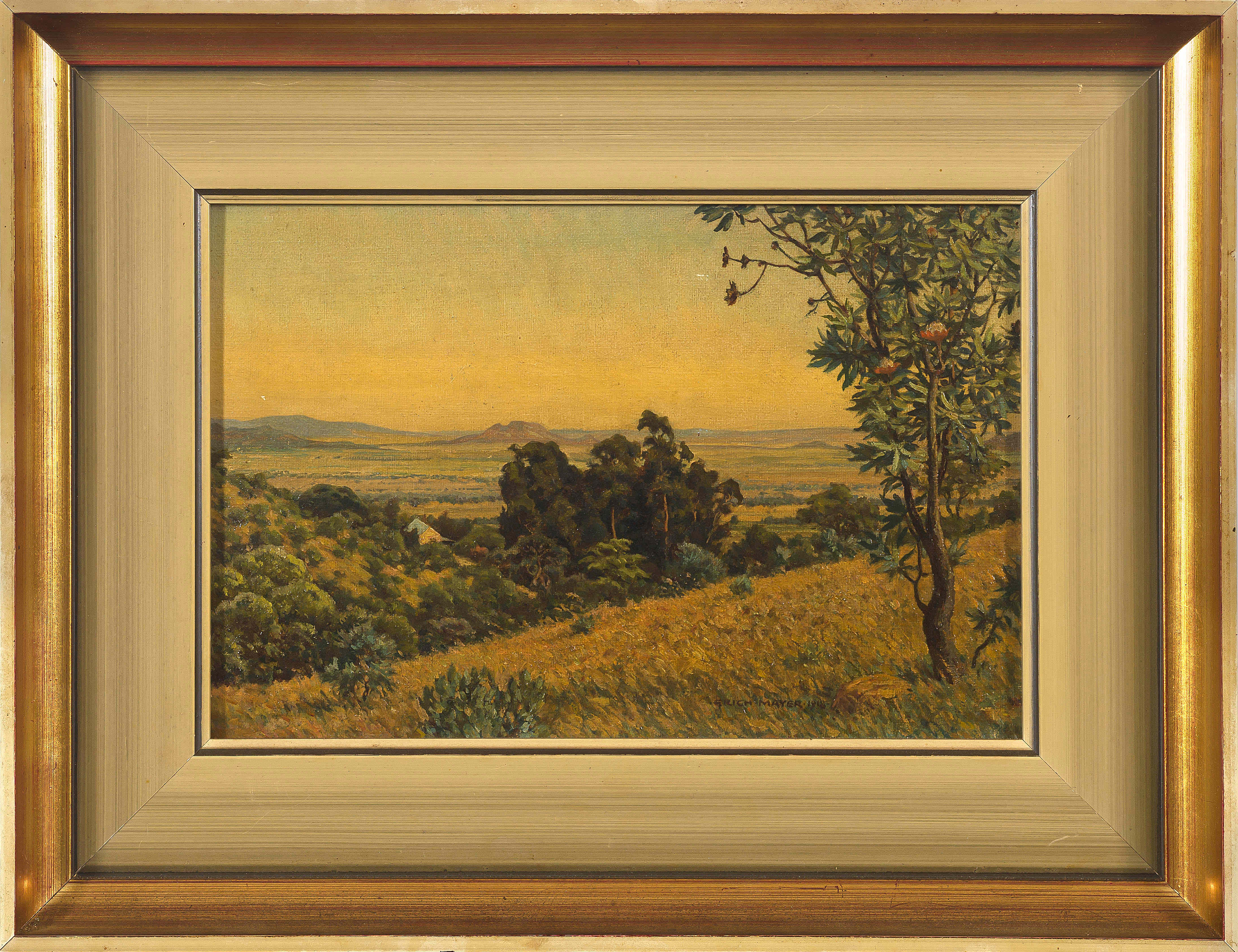 Lowveld Landscape by Erich Mayer | Strauss & Co