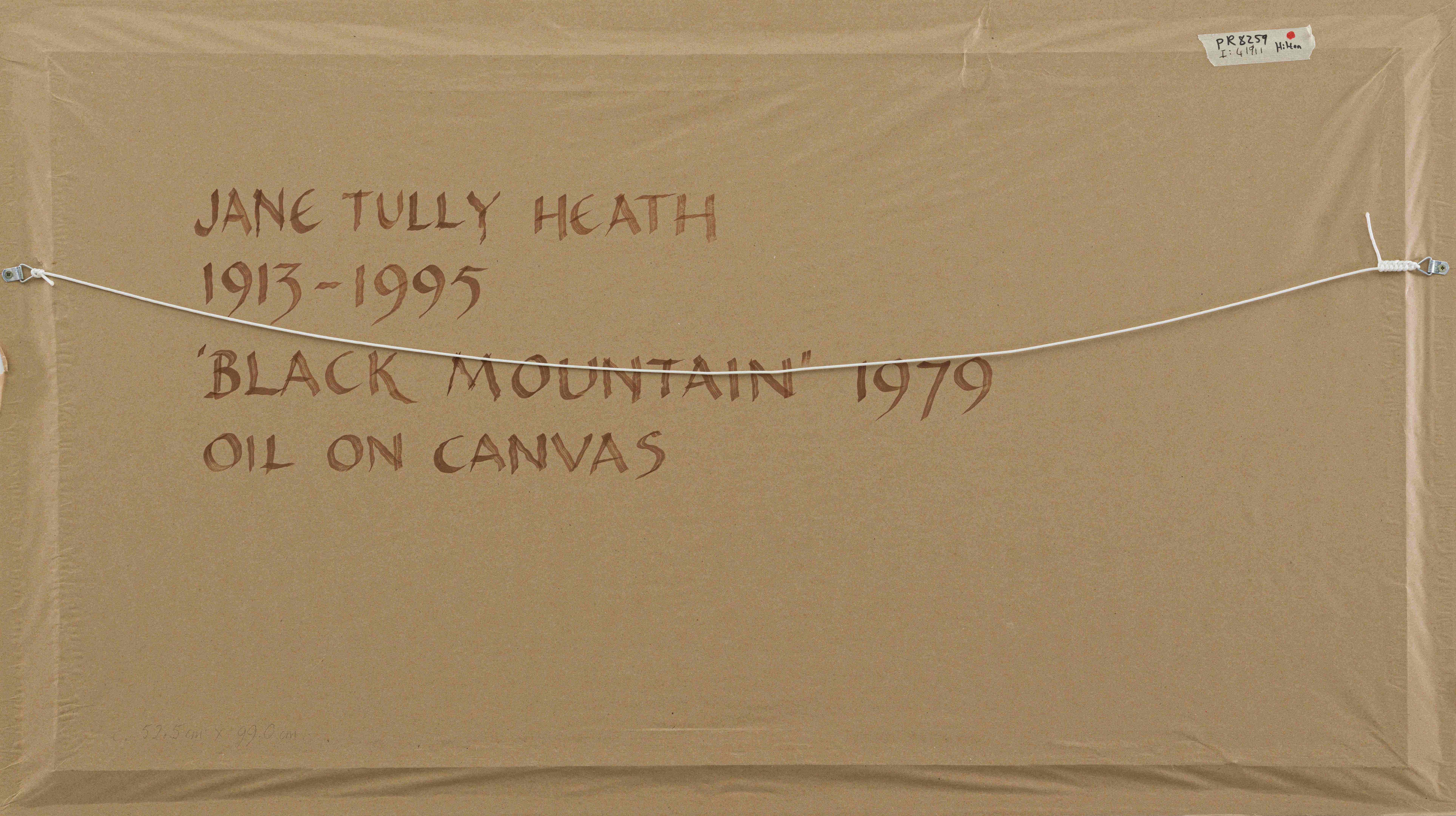 Black Mountain by Jane Tully Heath | Strauss & Co
