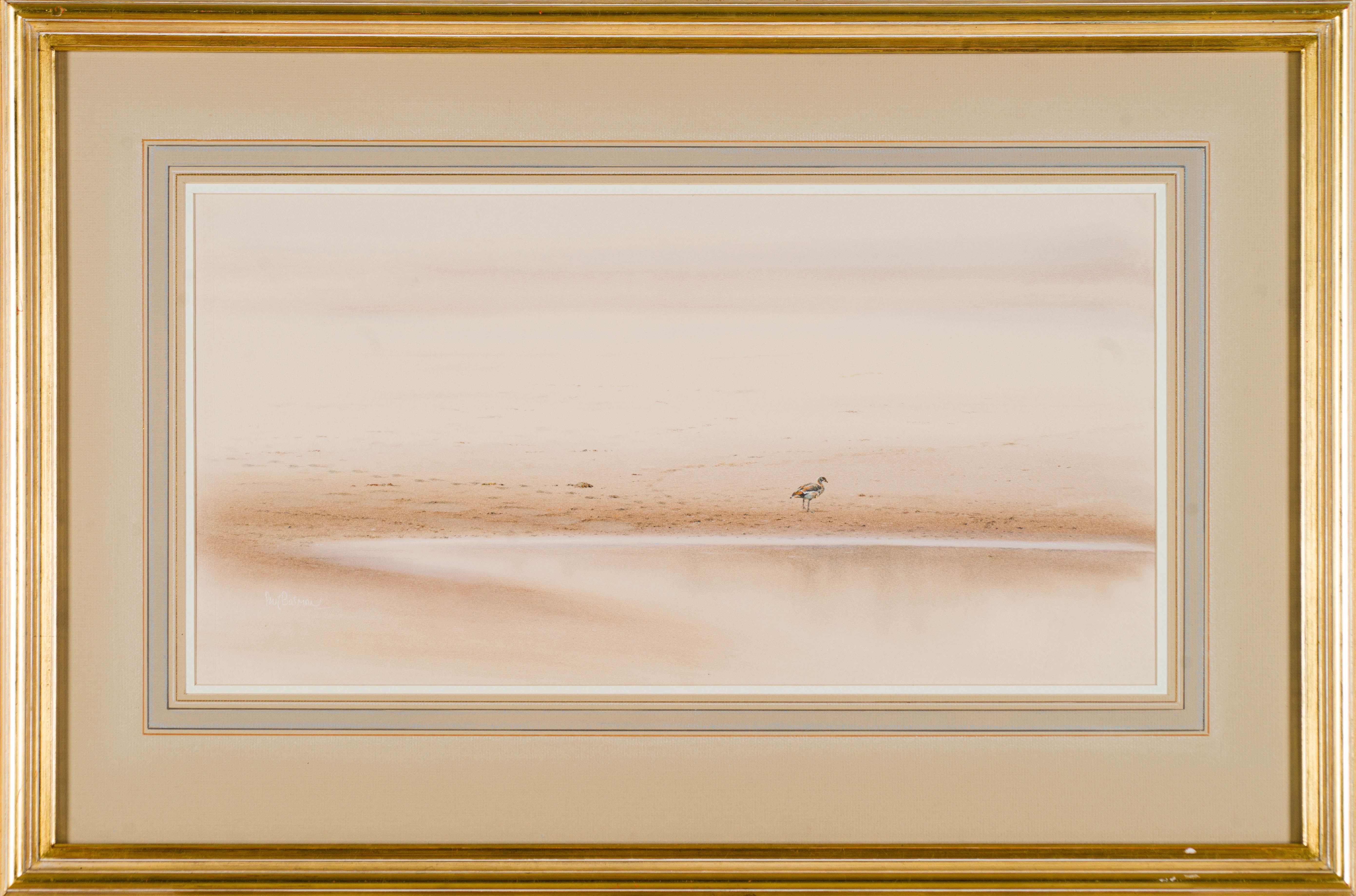 Egyptian Goose by Paul Bosman | Strauss & Co