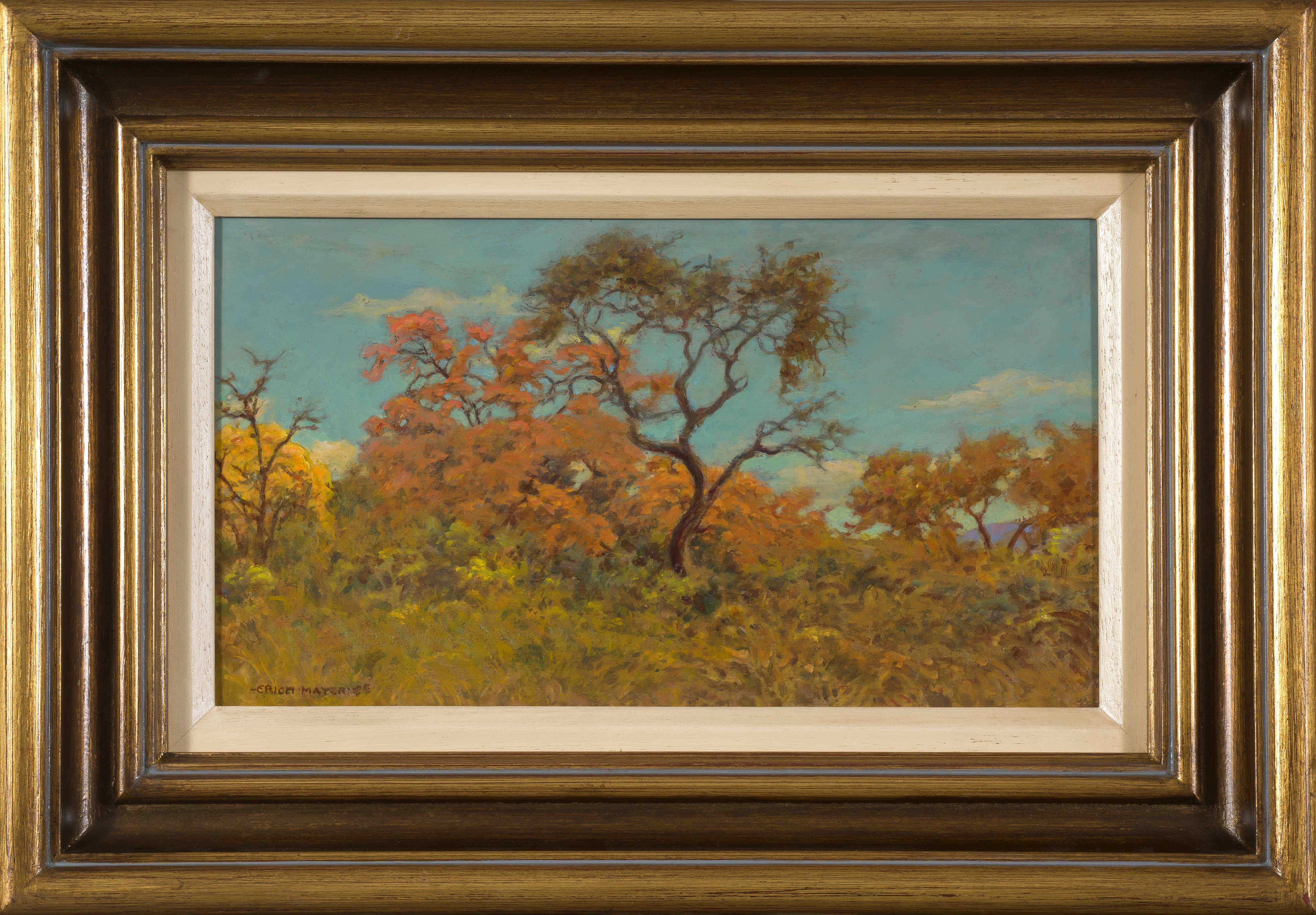 Bushveld Scene by Erich Mayer | Strauss & Co