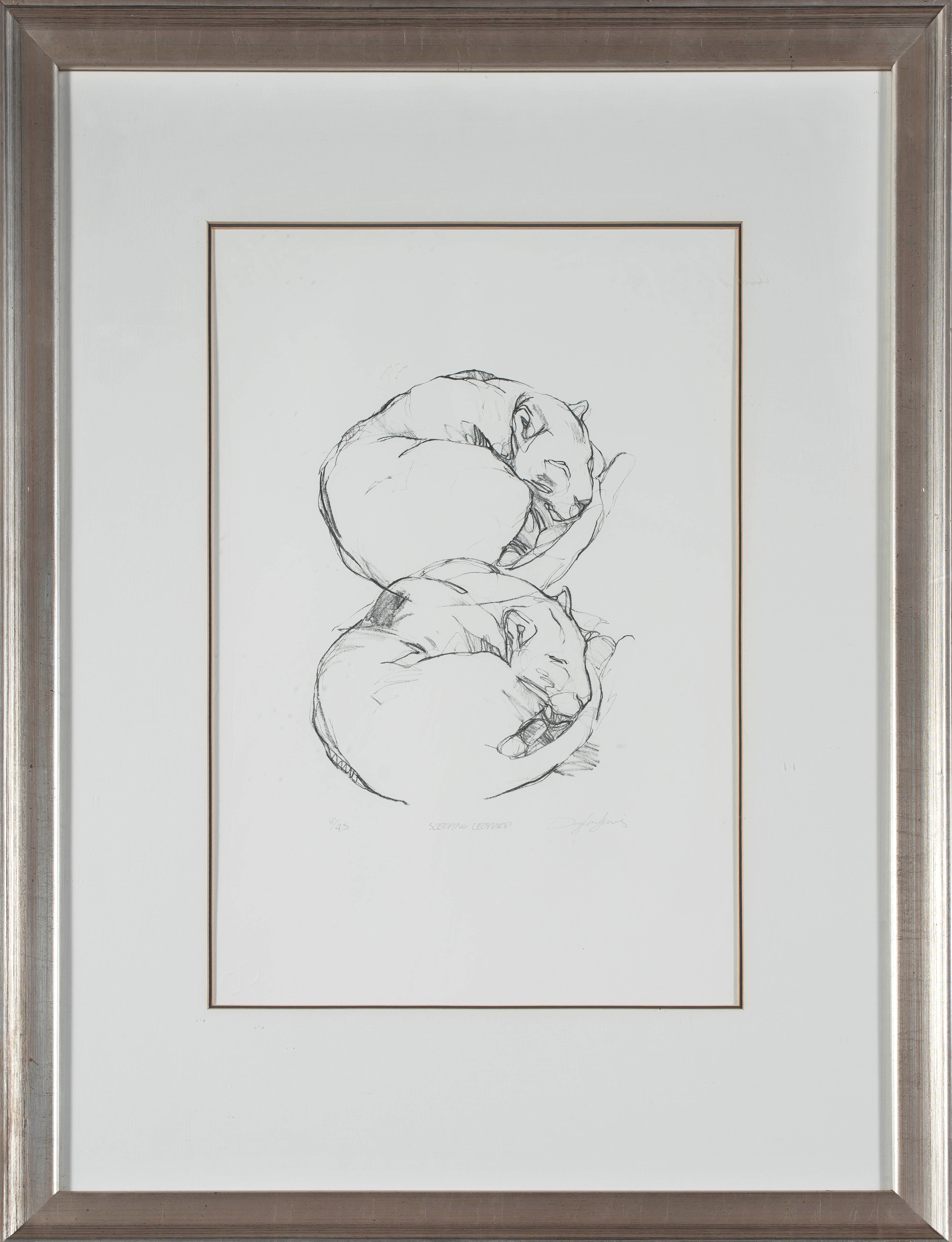 Sleeping Leopard by Dylan Lewis | Strauss & Co