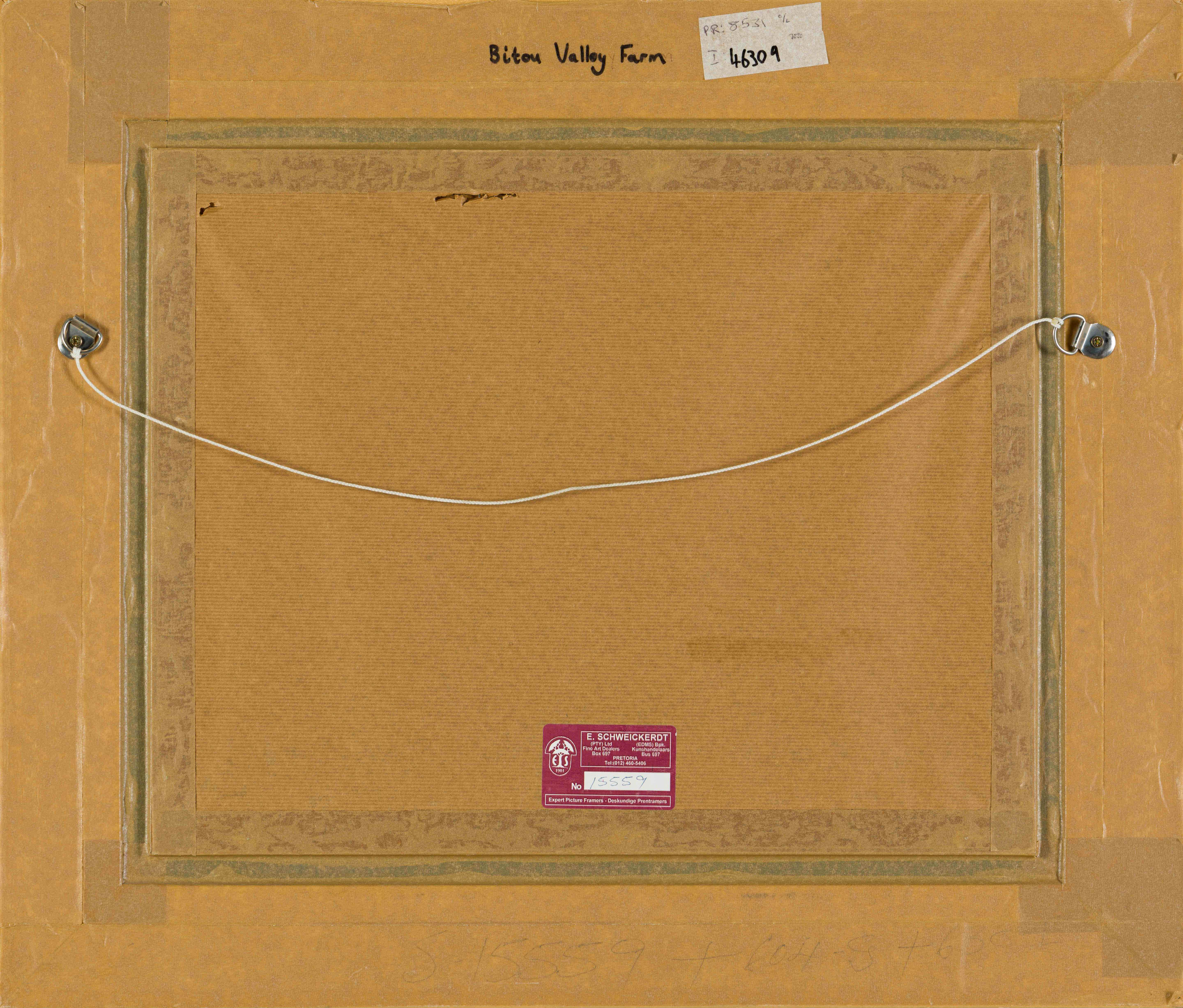 Bitou Valley Farm by Errol Boyley | Strauss & Co