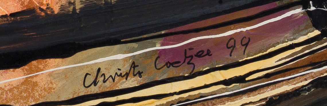 Simon's Icon by Christo Coetzee | Strauss & Co