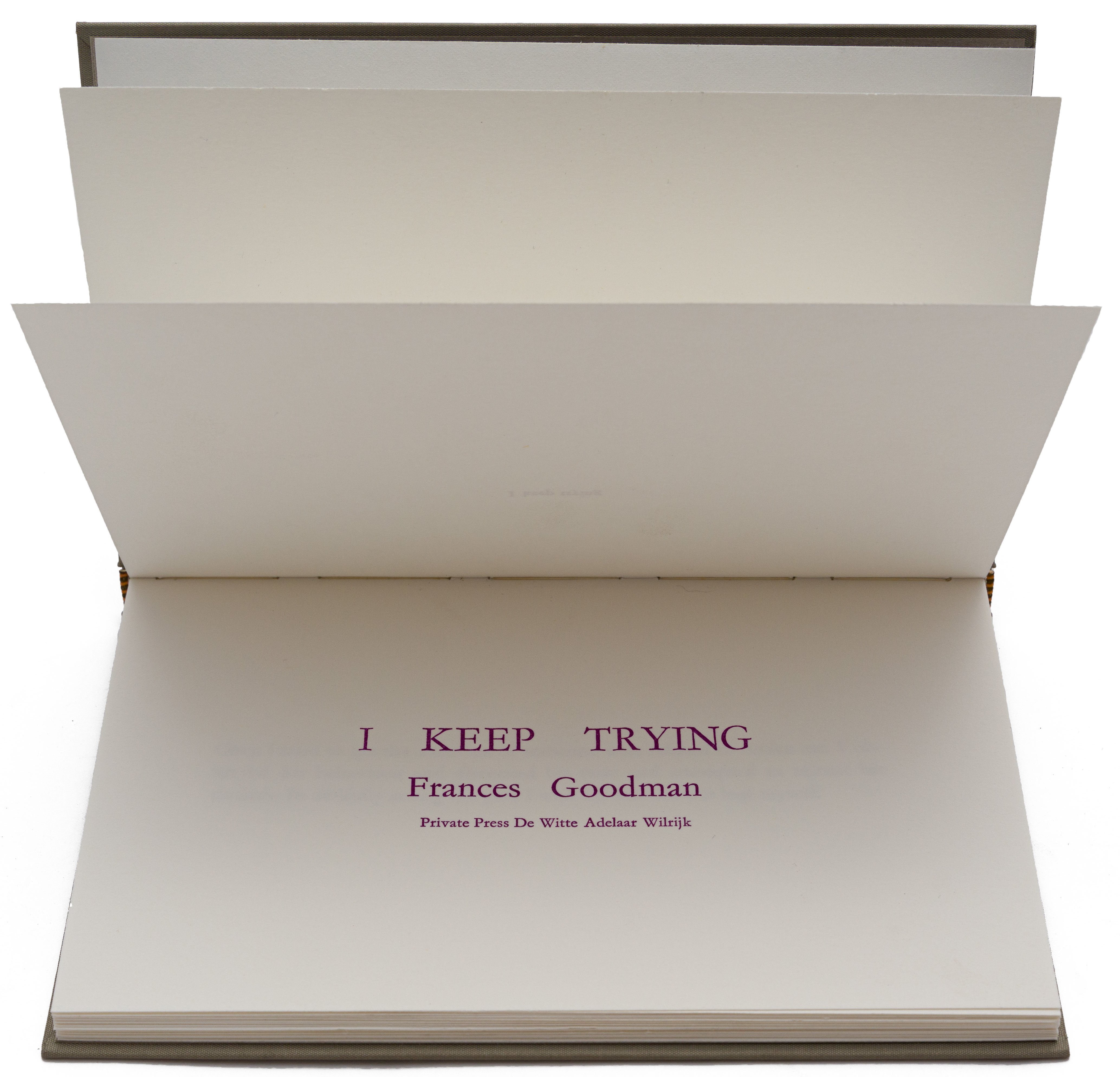 I Keep Trying by Frances Goodman | Strauss & Co