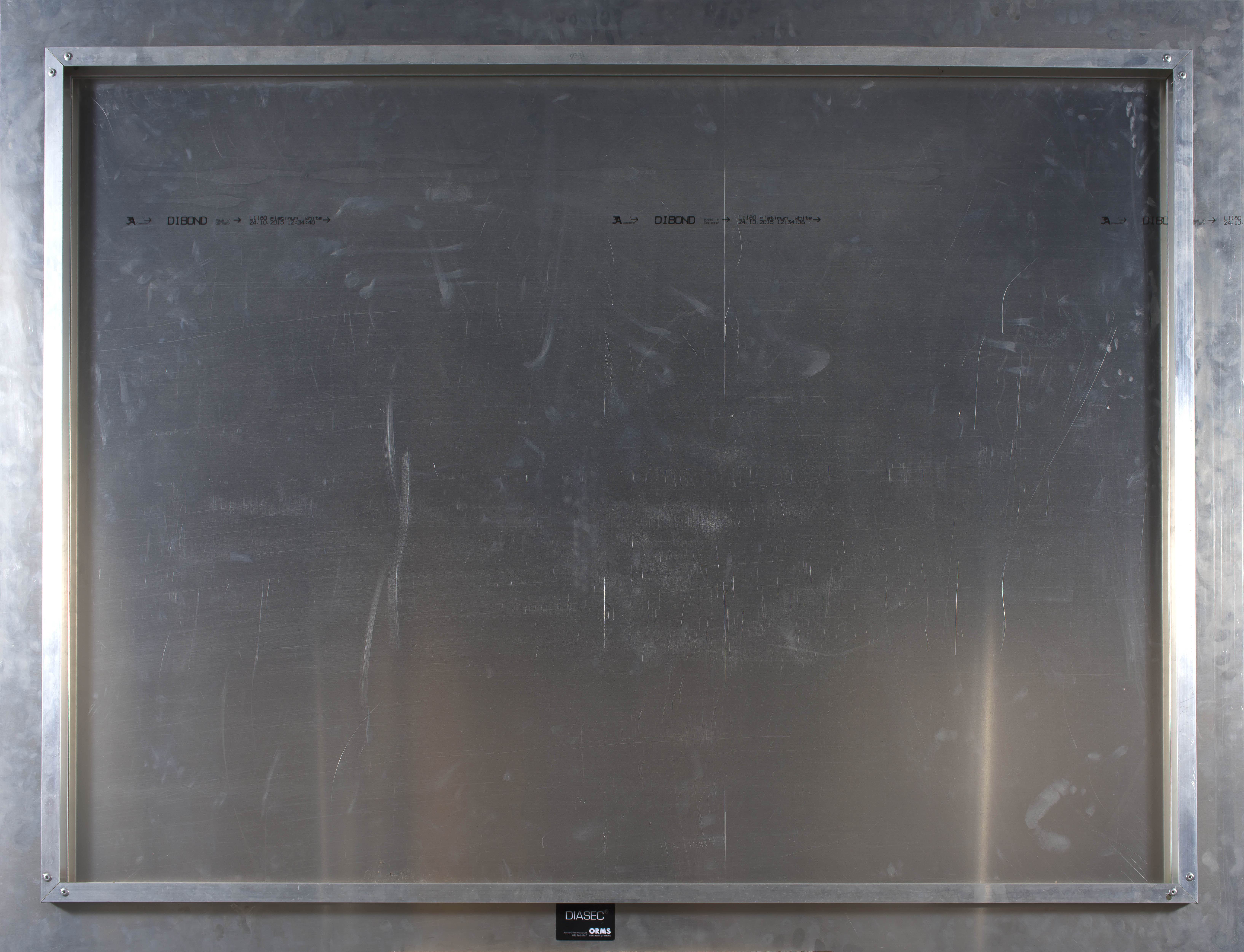 Inzilo I by Mohau Modisakeng | Strauss & Co