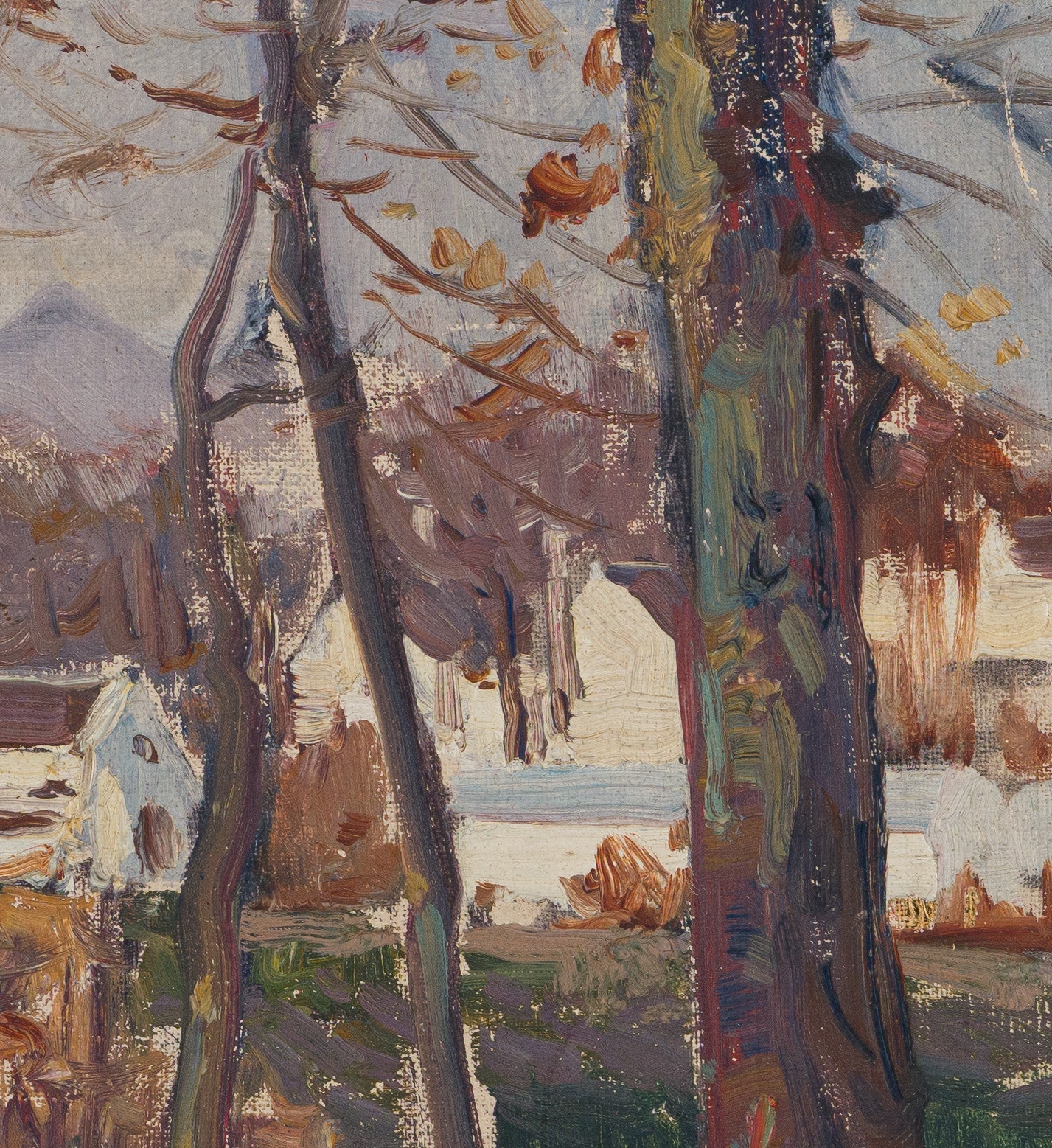 Eikebos op Laborie et Picardie by Hugo Naudé | Strauss & Co