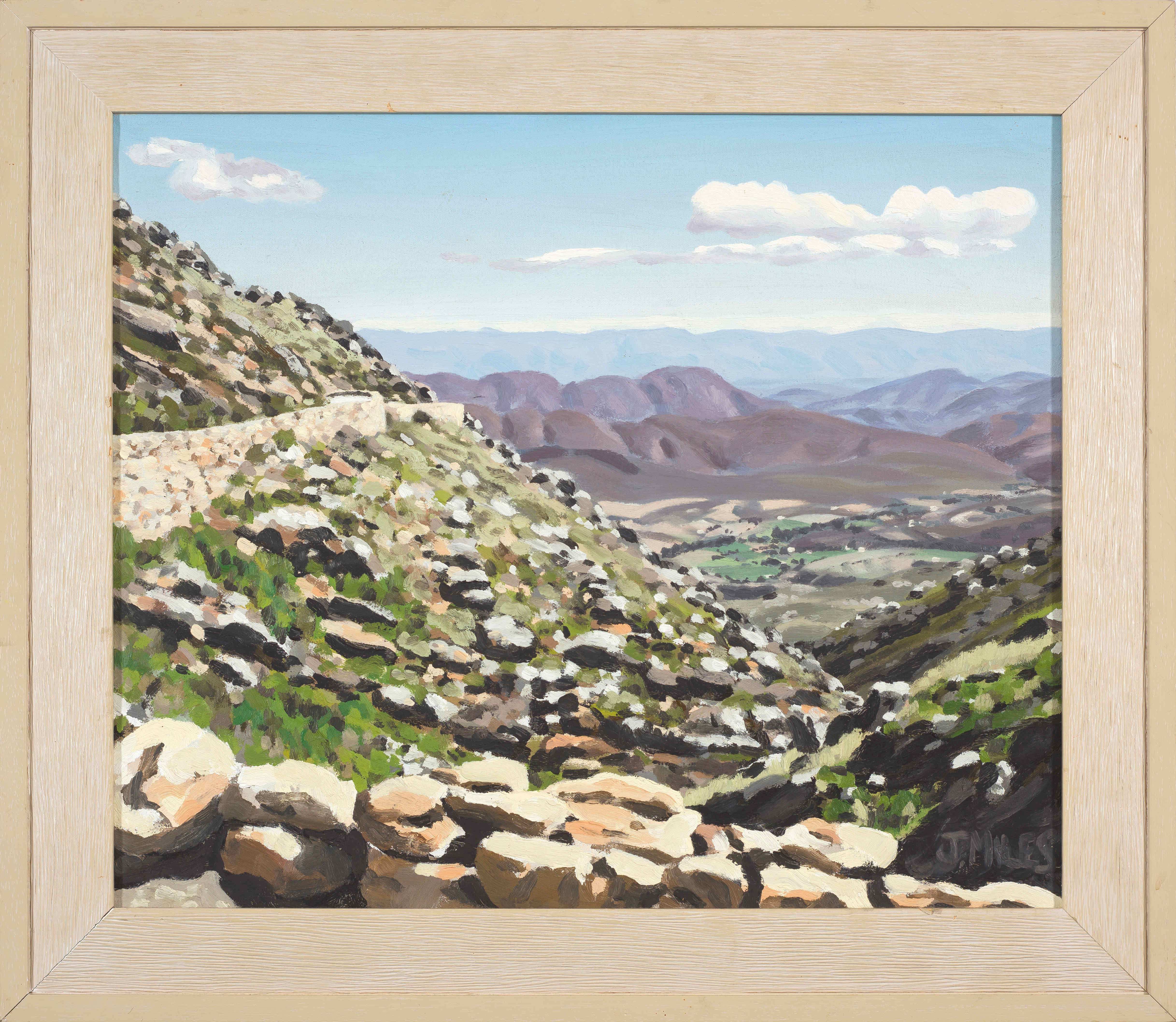 Mountain Landscape by Joshua Miles | Strauss & Co